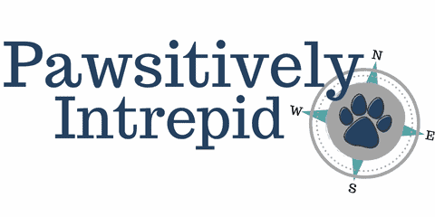 Toyota Tacoma Bed Dimensions (3rd Generation Short Bed) - Pawsitively ...